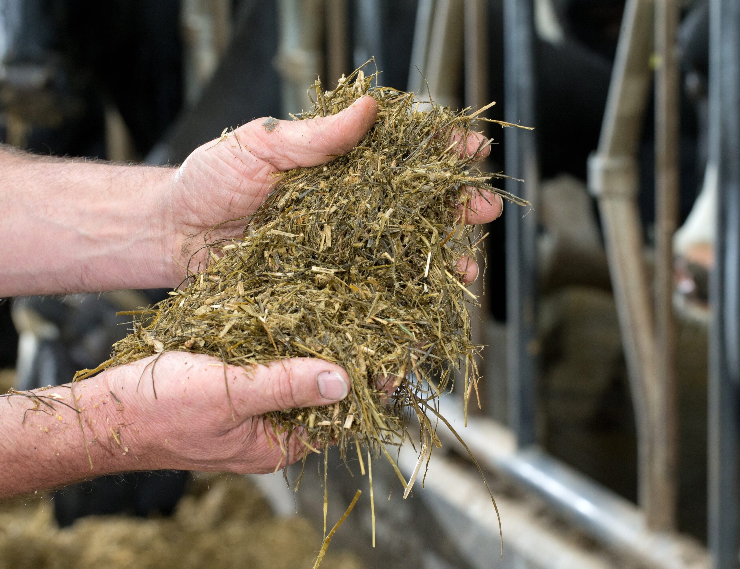 Silage Sampling - Farmlab Diagnostics