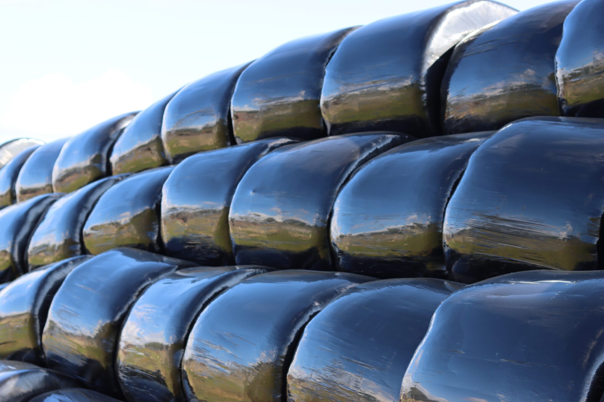 Silage Sampling - Farmlab Diagnostics