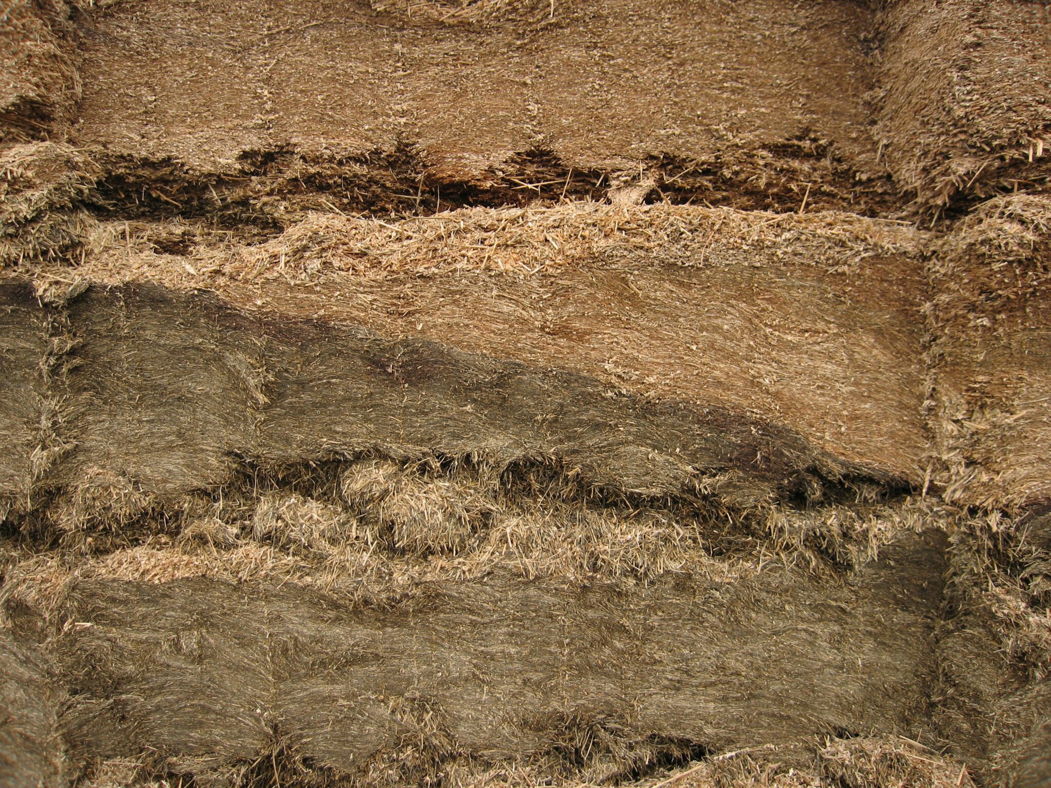 Silage Sampling - Farmlab Diagnostics